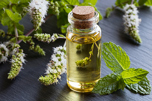 5 Powerful Benefits of Peppermint Oil for Mind & Business